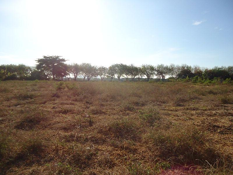 5.28 Hectares Land for Sale at Calatagan Batangas, Property, For Sale ...