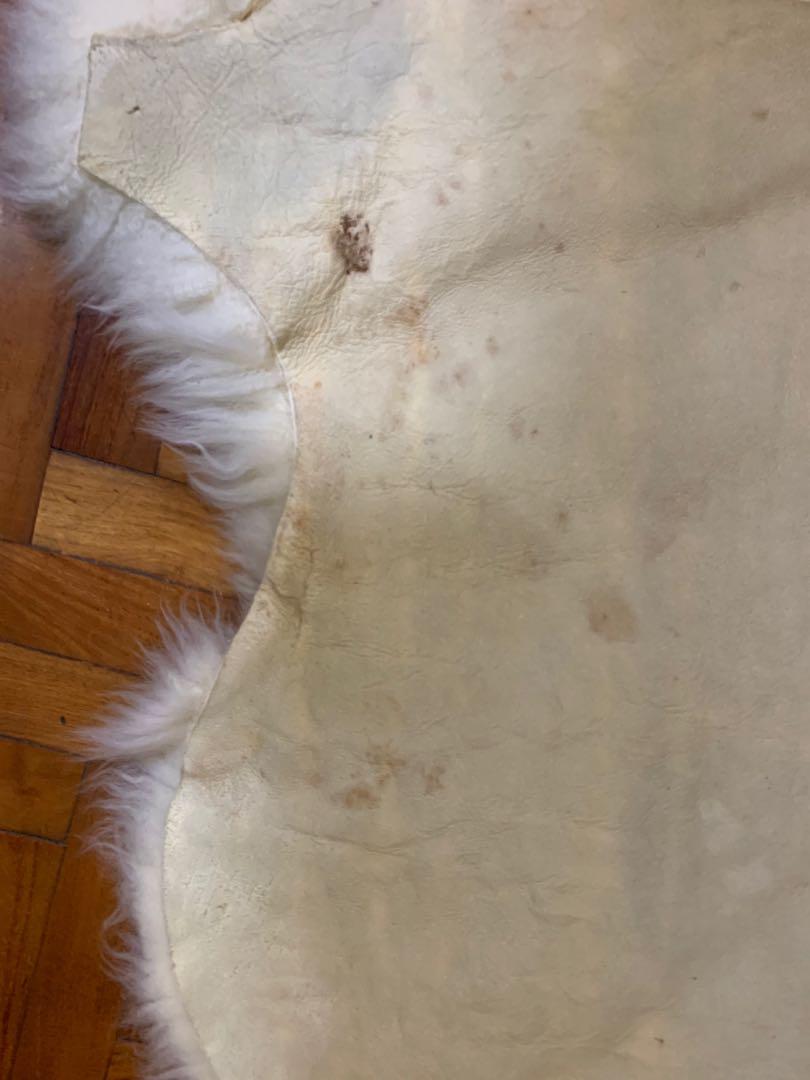 Sheep skin cover (100% pure wool) from New Zealand , Babies & Kids ...