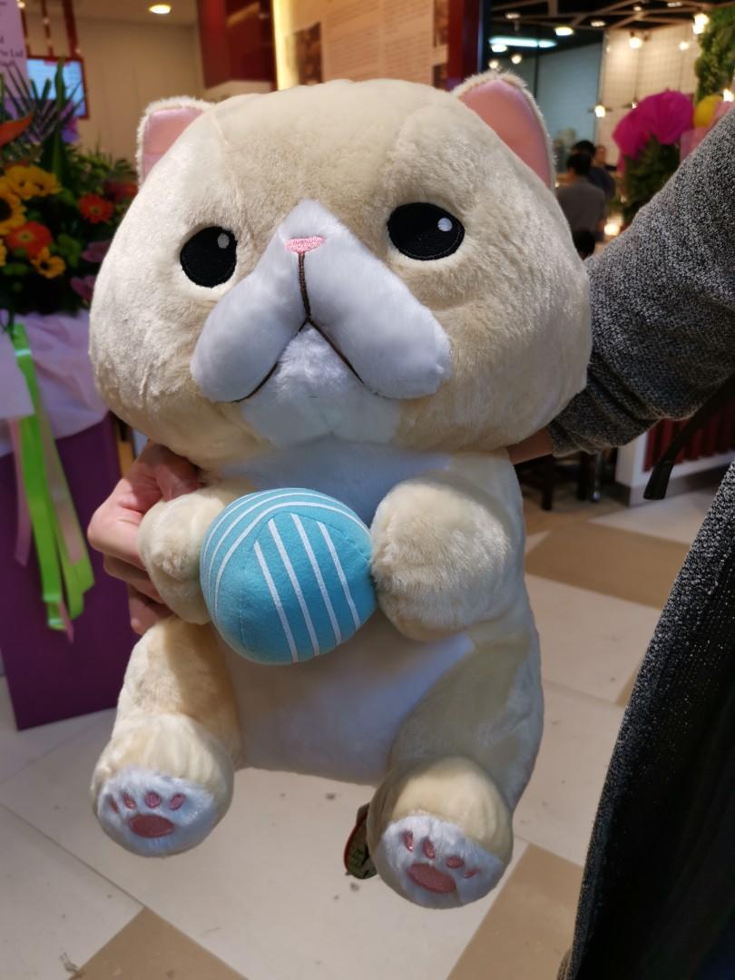 Amuse Cat plush, Hobbies & Toys, Toys & Games on Carousell