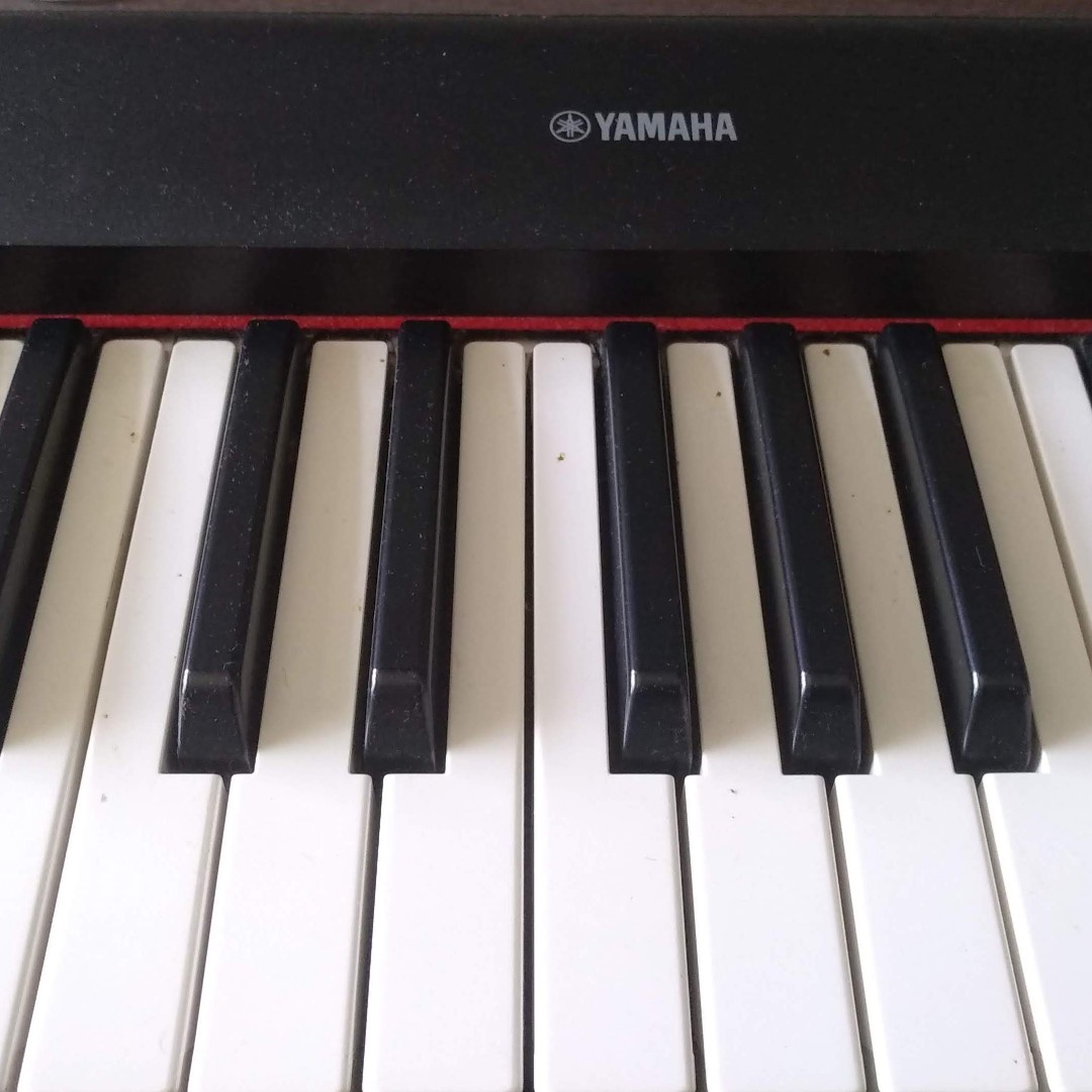 Yamaha NP-12 Piaggero Portable Keyboards (Black) with Piano X-Stand & X ...