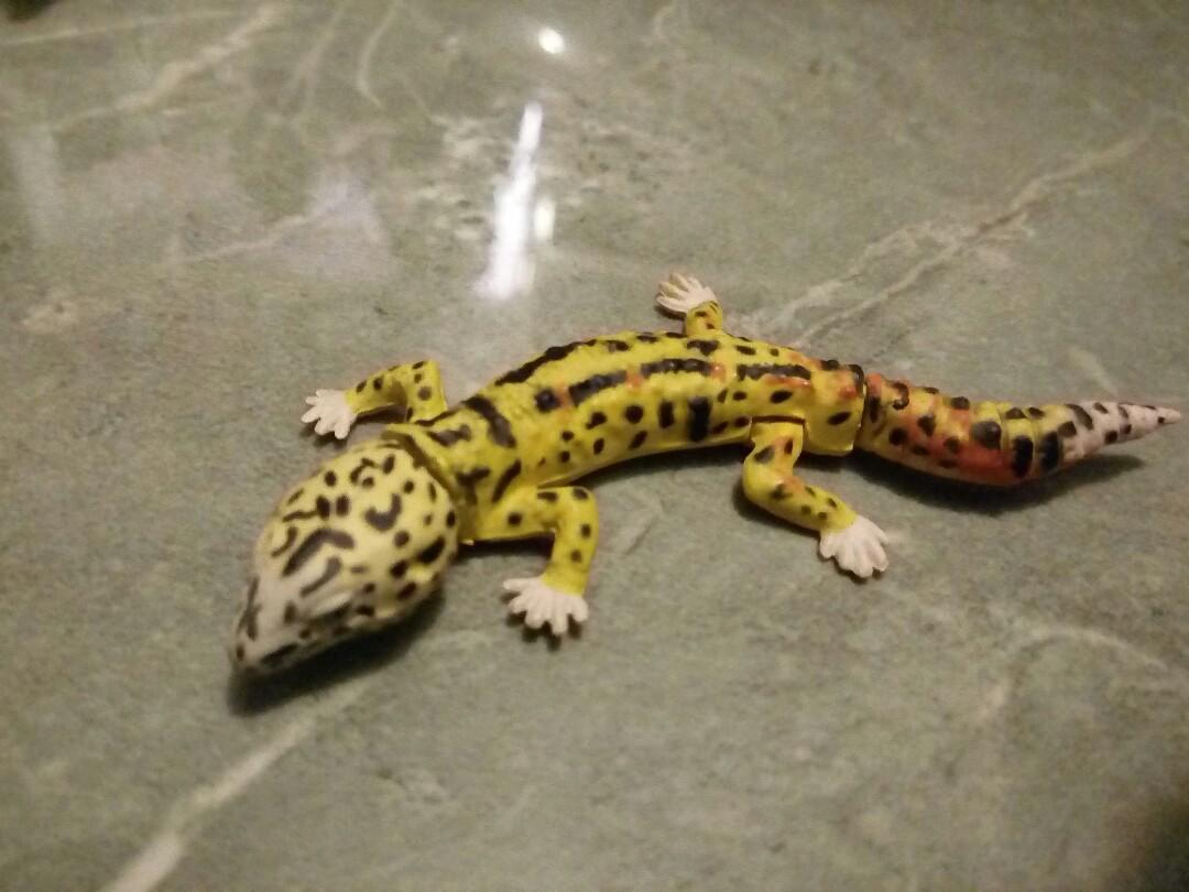動物 狼群 蜥蜴 模型玩具 Animal Lizard Wolf, 興趣及遊戲, 玩具 & 遊戲類 - Carousell
