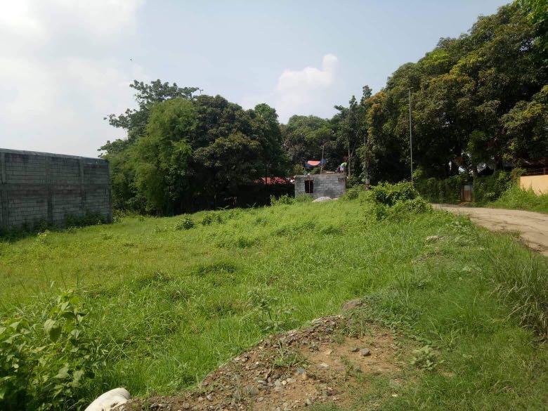 Lupa 300 square meters, Looking For on Carousell