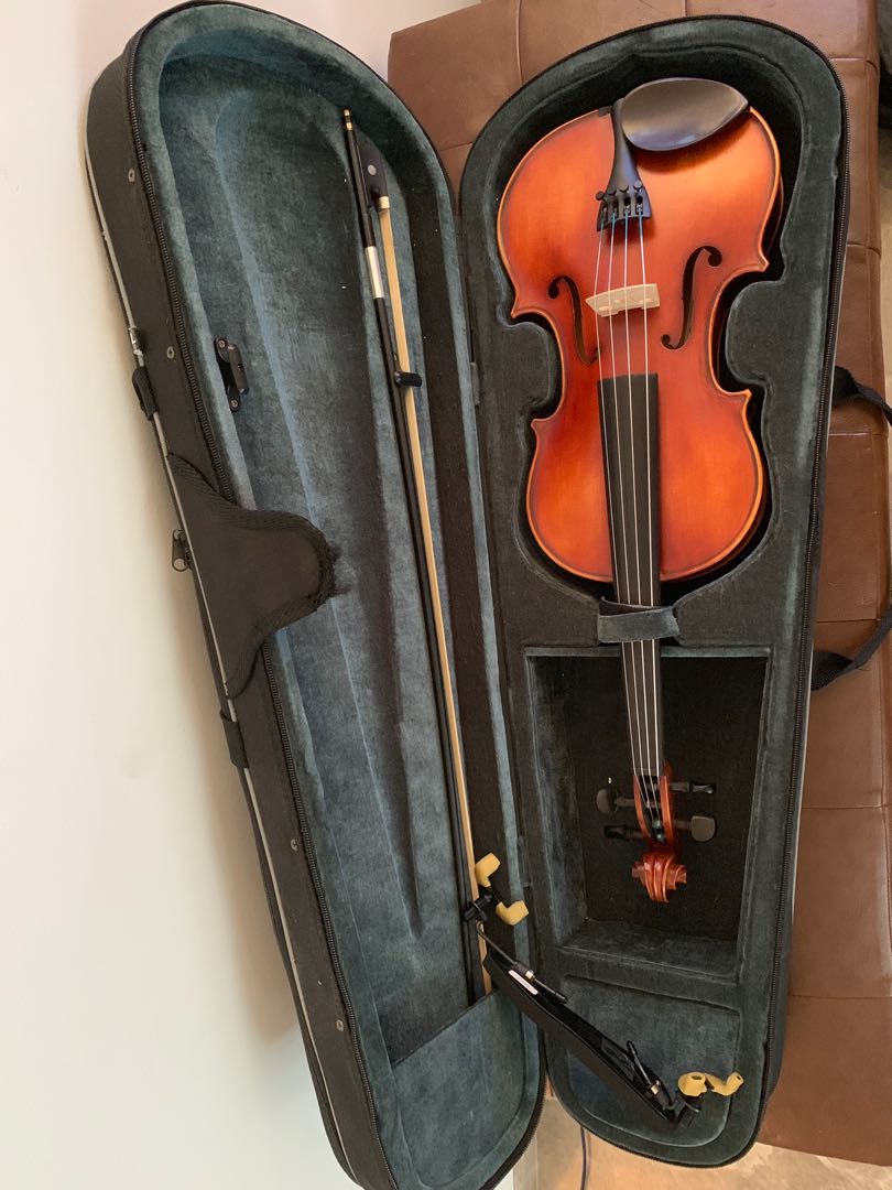 Primavera viola 15”, Hobbies & Toys, Music & Media, Musical Instruments ...