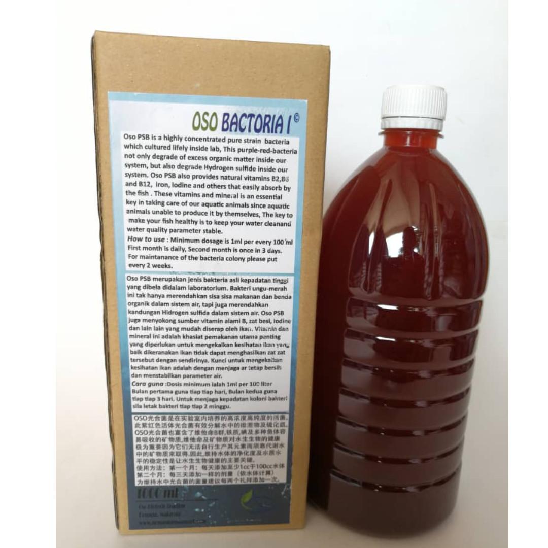 OSO Bactoria I Live Culture PSB for Aquarium 1 Litre, Pet Supplies ...