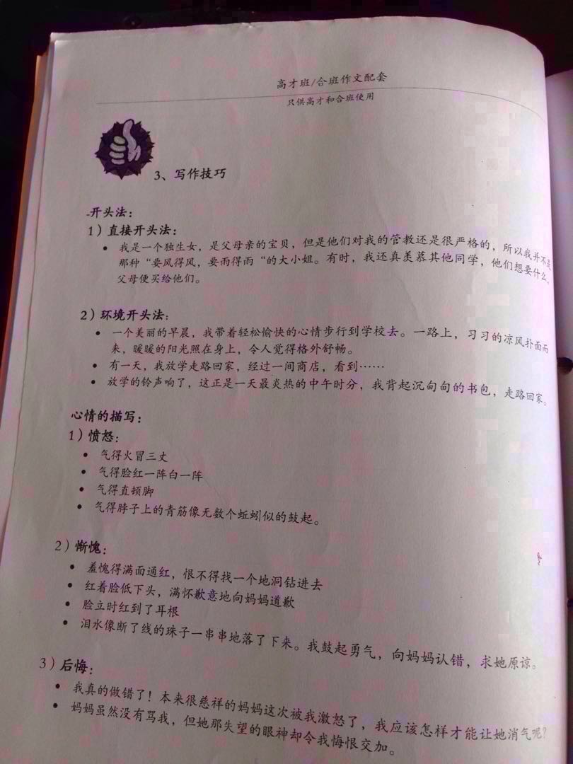 GEP P5 and P6 chinese compo writing guide with supported model essays ...