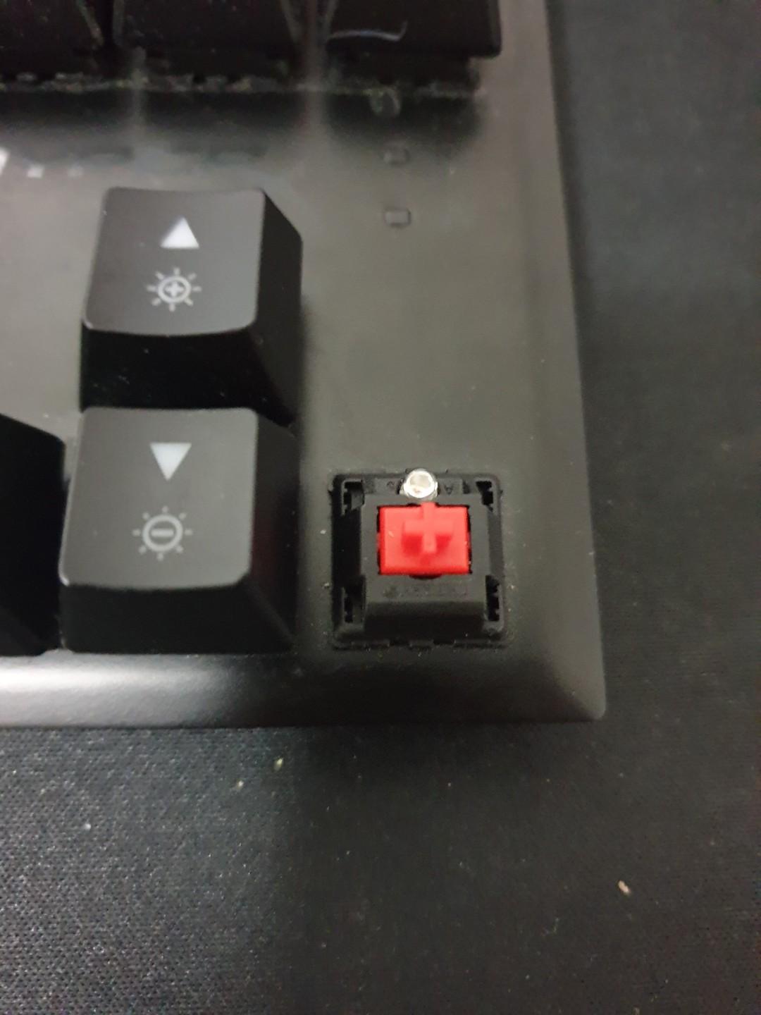 Hyperx Fps Pro Mechanical Keyboard, cherry mx red switch, Computers ...