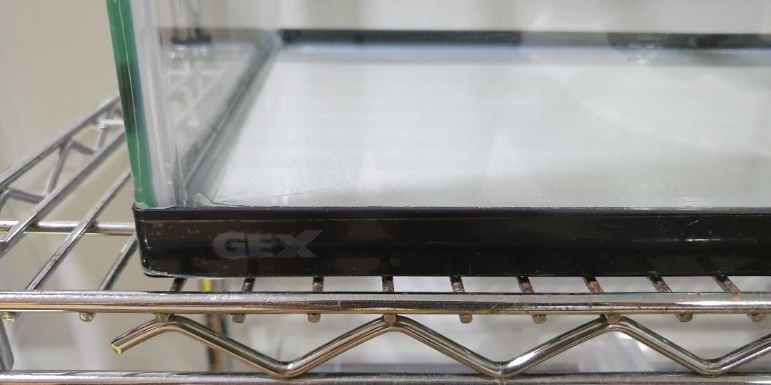 GEX 2FT Tank (2 Unit), Pet Supplies, Homes & Other Pet Accessories on ...