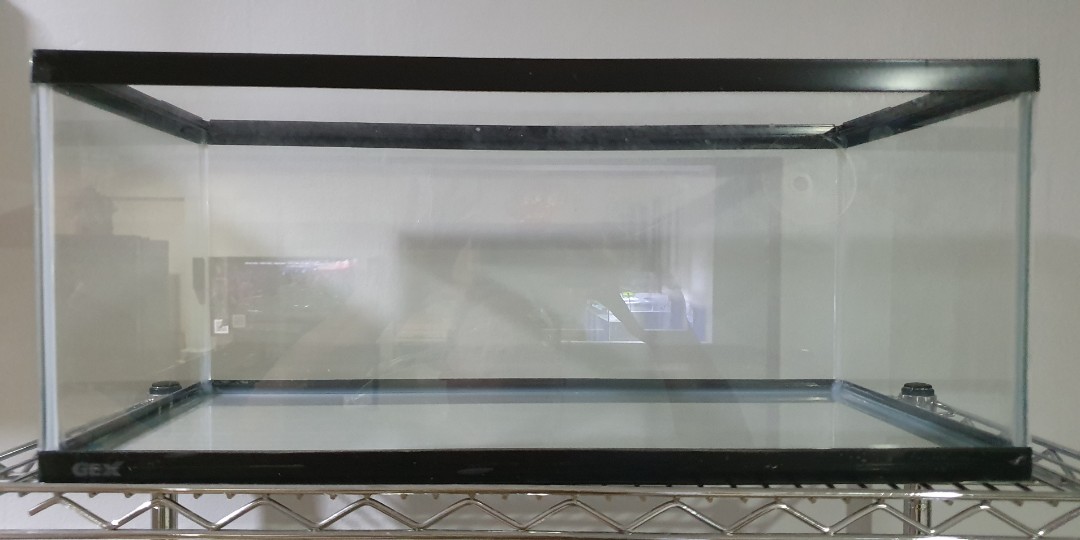 GEX Low Profile 2 FT Tank, Pet Supplies, Homes & Other Pet Accessories on Carousell