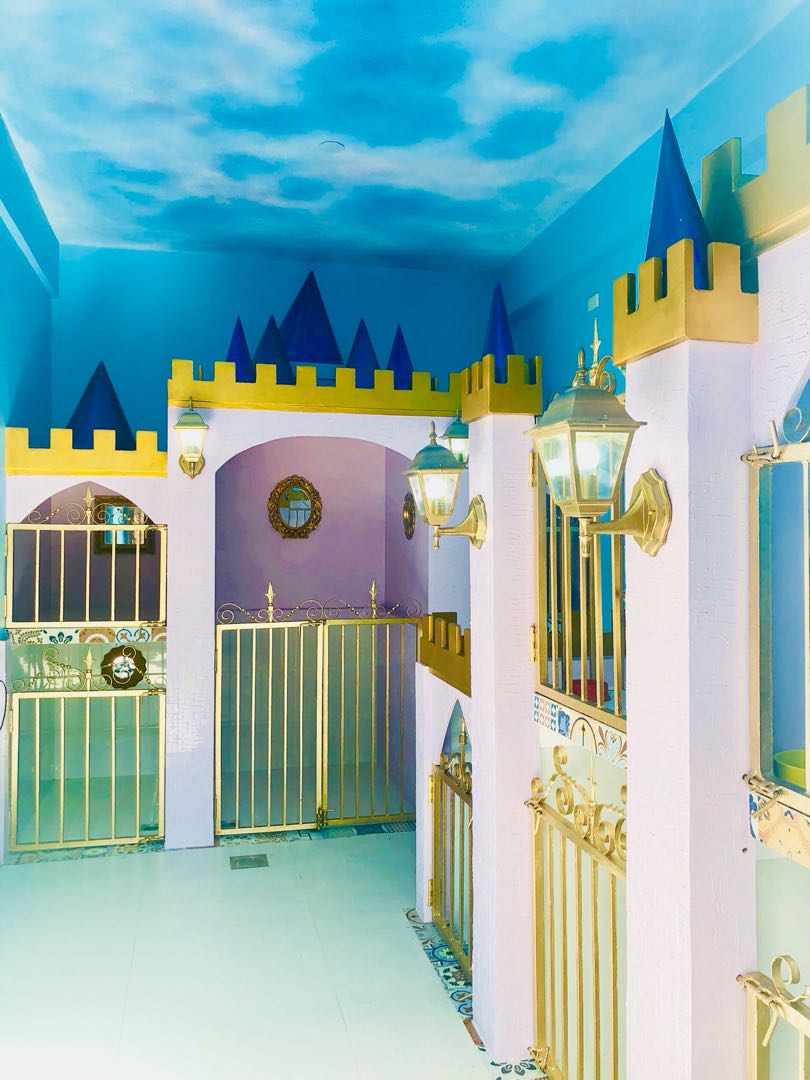Urpet Babies Pet Castle Hotel for Pet Boarding, Pet Supplies, Homes ...