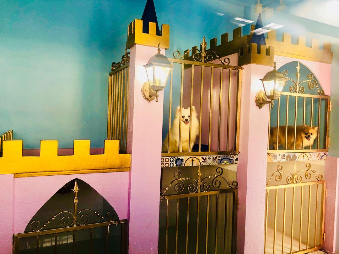 Urpet Babies Pet Castle Hotel for Pet Boarding, Pet Supplies, Homes ...