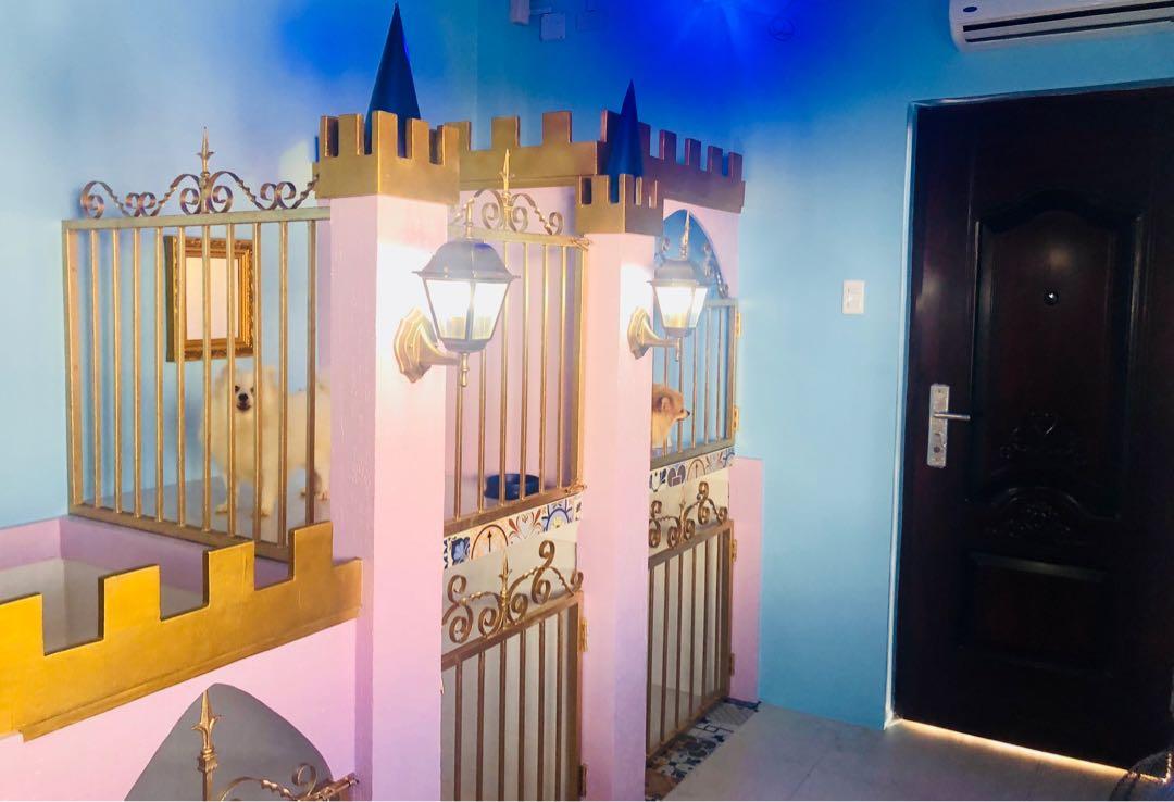 Urpet Babies Pet Castle Hotel for Pet Boarding, Pet Supplies, Homes ...