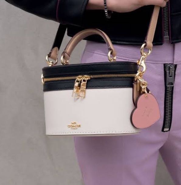 Coach x Selena Bag, Women's Fashion, Bags & Wallets, Cross-body Bags on ...