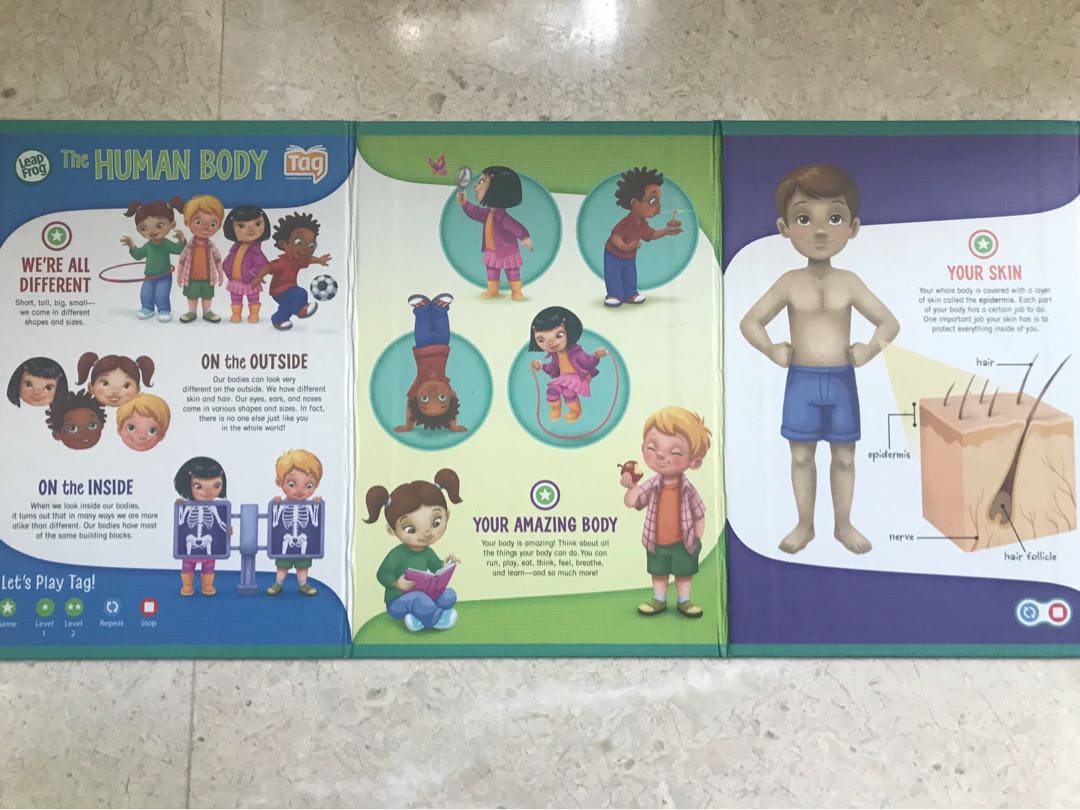 Leapfrog interactive human body, Hobbies & Toys, Books & Magazines ...