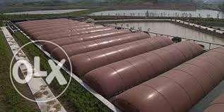 Biogas Digester for Piggery Poultry, Commercial & Industrial ...