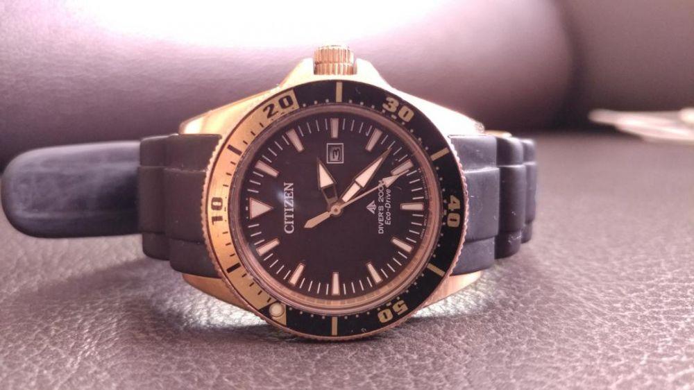 Citizen Promaster lady watch, Men's Fashion, Watches & Accessories ...