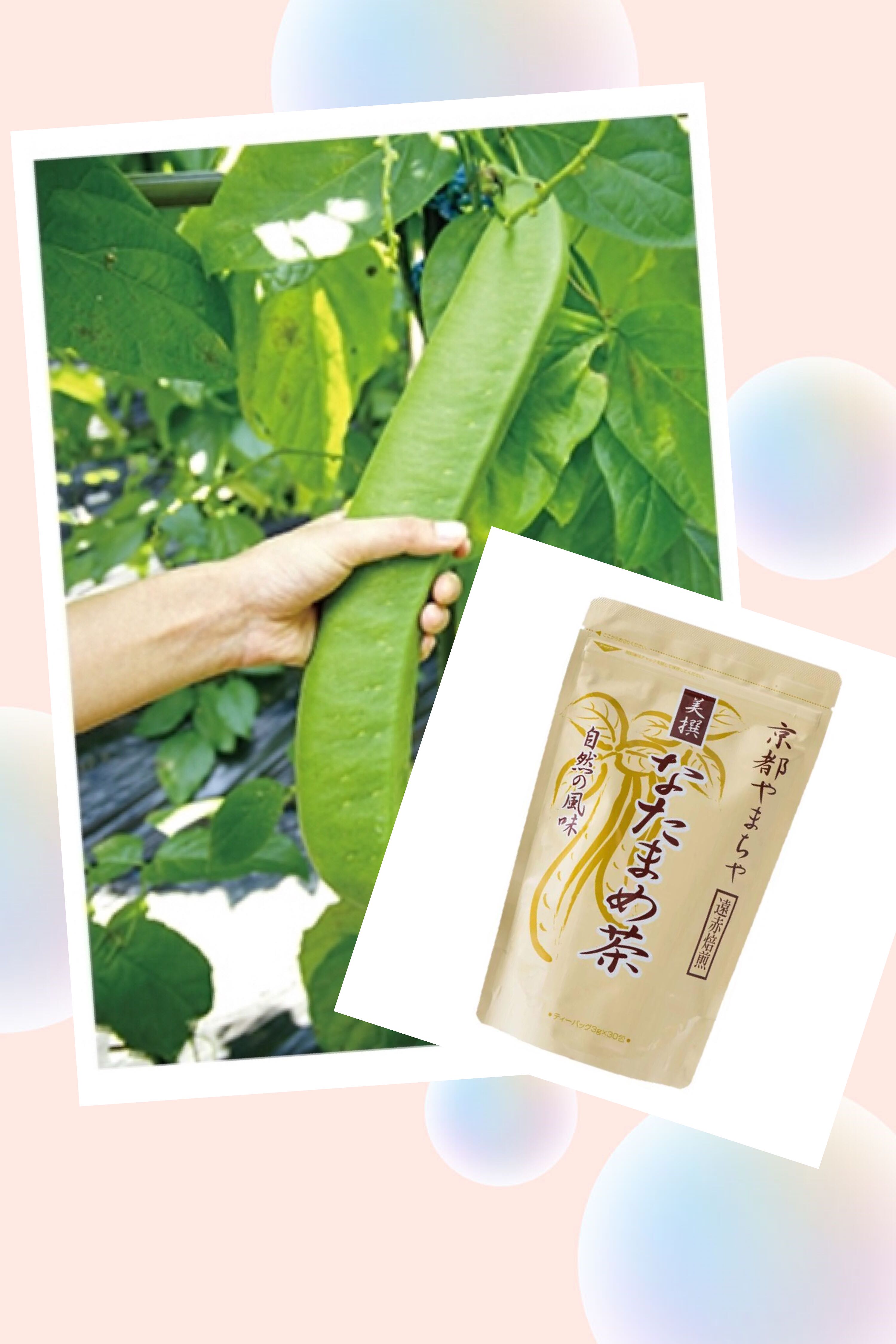 JAPAN Kyoto Sword Bean Tea *Improve BAD BREATH*, Health & Nutrition ...