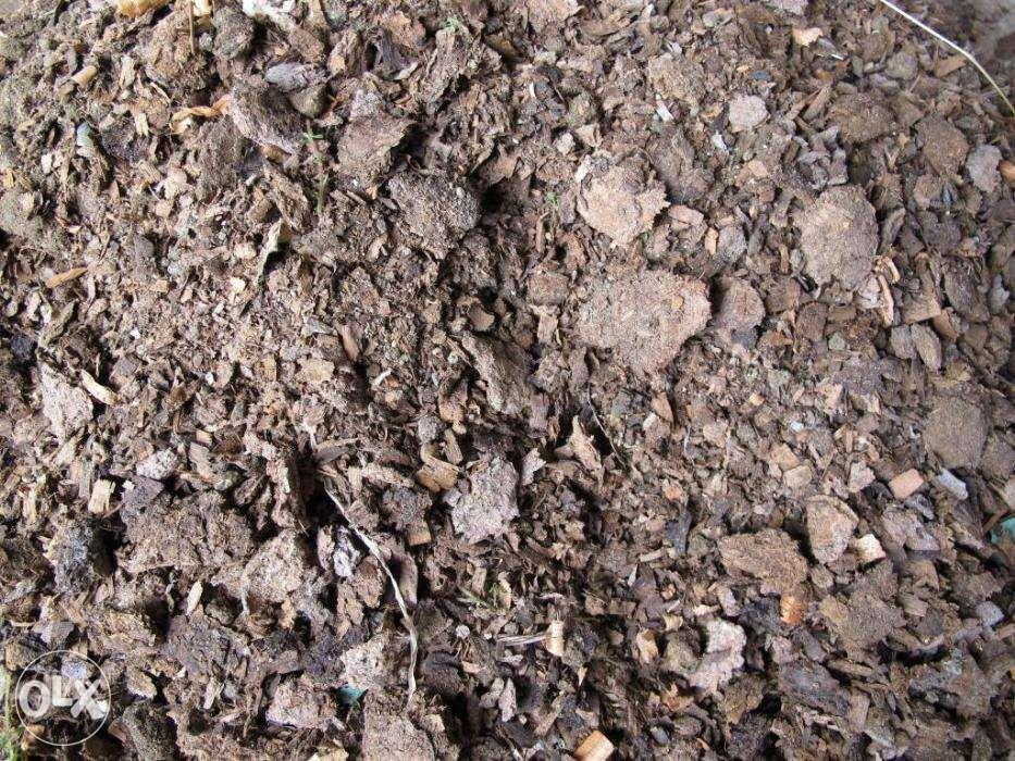 Chicken Dung Iti Fertilizer, Special Vehicles, Heavy Vehicles on Carousell
