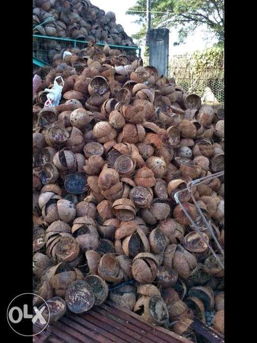biomass fuel factory use coconut shell bao ng nyog, Furniture & Home ...