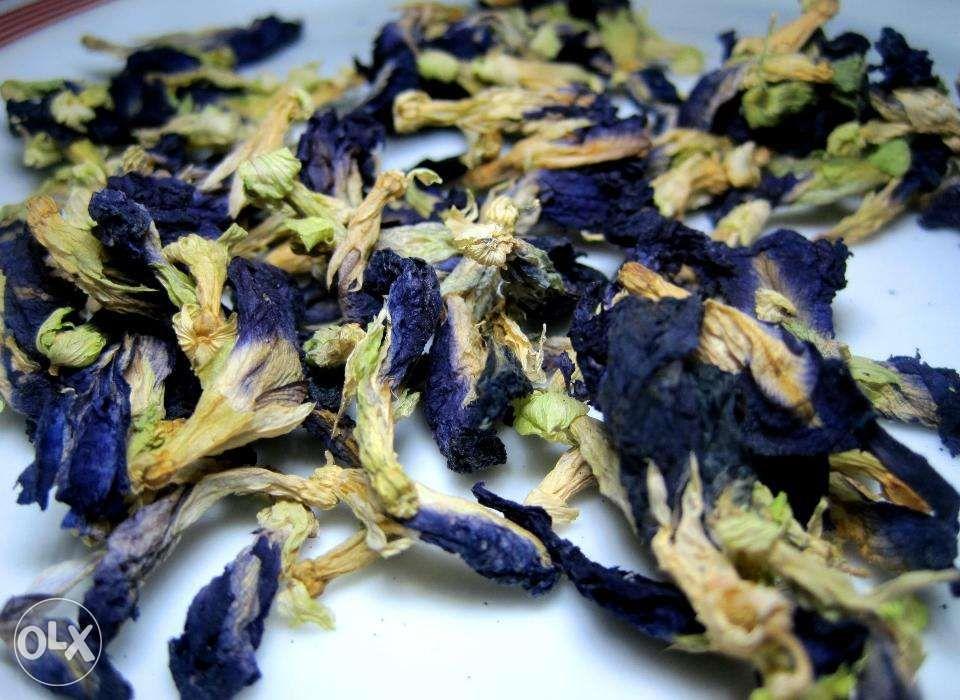 Blue Ternate or Butterfly Pea Flowers, Furniture & Home Living, Home ...