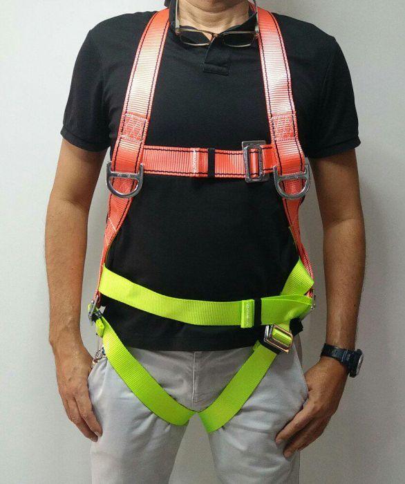 Professional Full Body Harness with Back Support with Freebies ...
