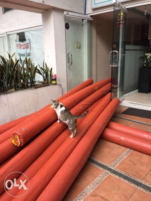 Laminated Blue Sack, Furniture & Home Living, Cleaning & Homecare ...