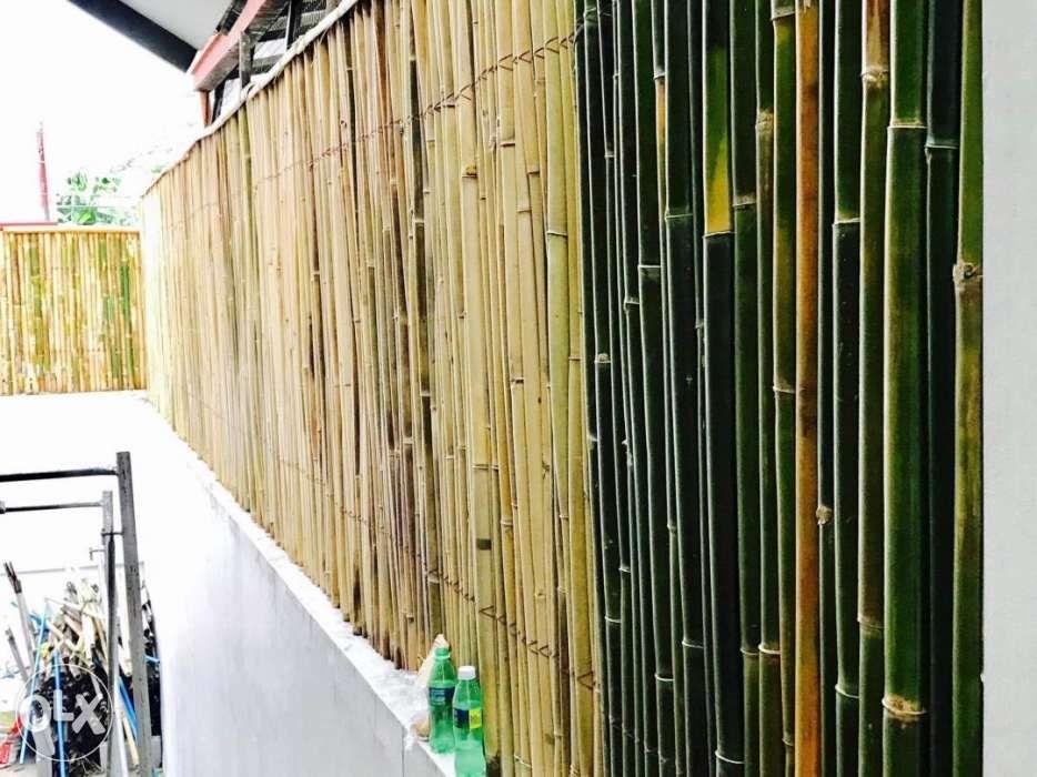 Bamboo Fence, Furniture & Home Living, Home Improvement & Organization ...