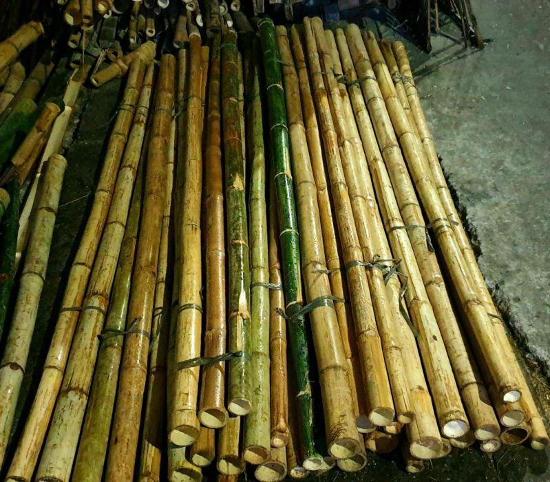 Tinikling kawayan, Furniture & Home Living, Home Improvement ...