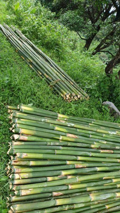 Buho for sale, Furniture & Home Living, Home Improvement & Organization ...