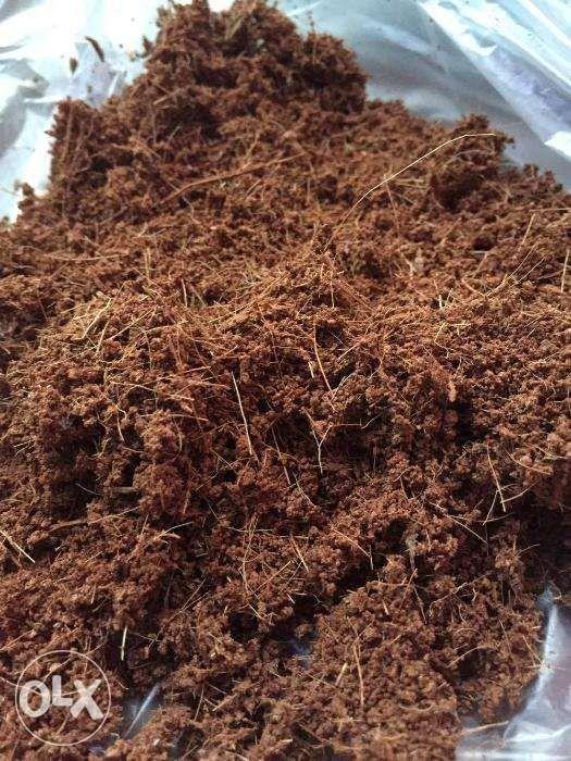 Coco Peat Coir Dust Bulk order only, Furniture & Home Living, Cleaning ...