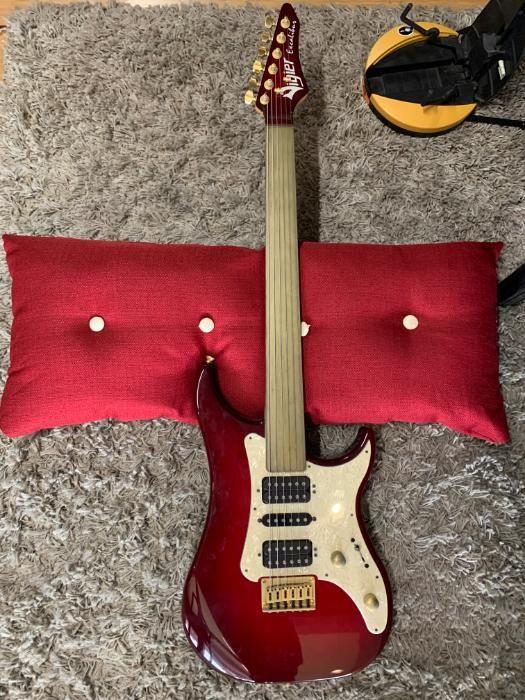 Vigier Excalibur Fretless Guitar, Hobbies & Toys, Music & Media, CDs ...