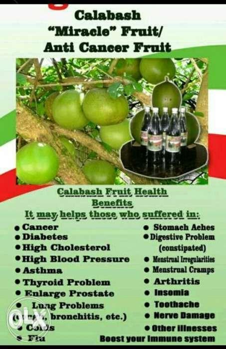 Calabash Miracle juice Anticancer fruit, Food & Drinks, Fresh Produce ...