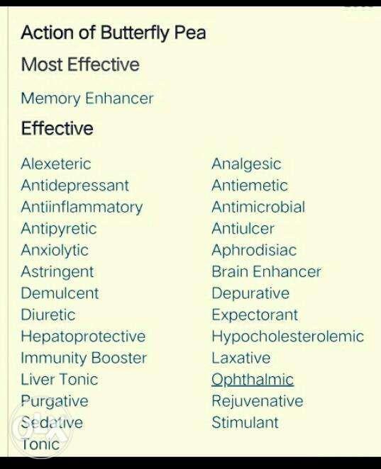 Blue Ternate Butterfly Pea Flower Tea Powder Anticancer etc, Health ...