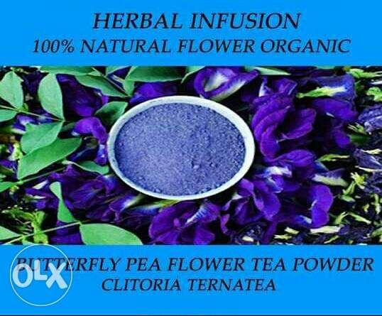 Blue Ternate Butterfly Pea Flower Tea Powder Anticancer etc, Health ...