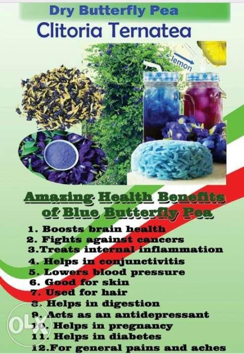 Blue Ternate Butterfly Pea Flower Tea Powder Anticancer etc, Health ...