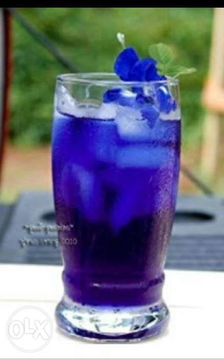 Blue Ternate Butterfly Pea Flower Tea Powder Anticancer etc, Health ...