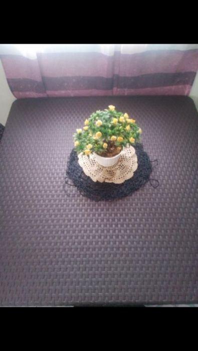 Jolly rattan dinning set, Furniture & Home Living, Furniture, Tables ...