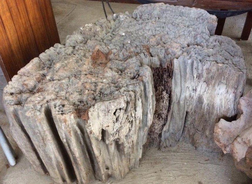 Duhat Tree Stump ornamental, Furniture & Home Living, Home Improvement ...
