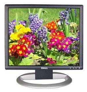 Dell UltraSharp 1704FPVt 17 Inch Flat Panel LCD Monitor, Computers ...