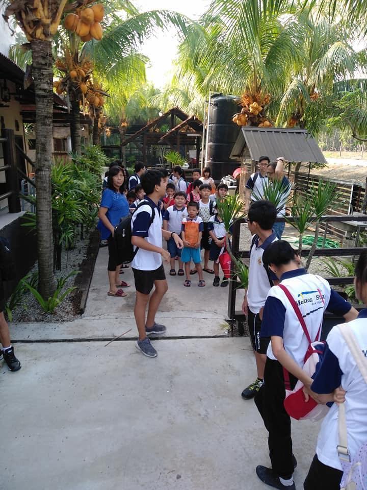 (Day trip) Family day!! Durian,mini zoo,horse riding,pedal boat ...