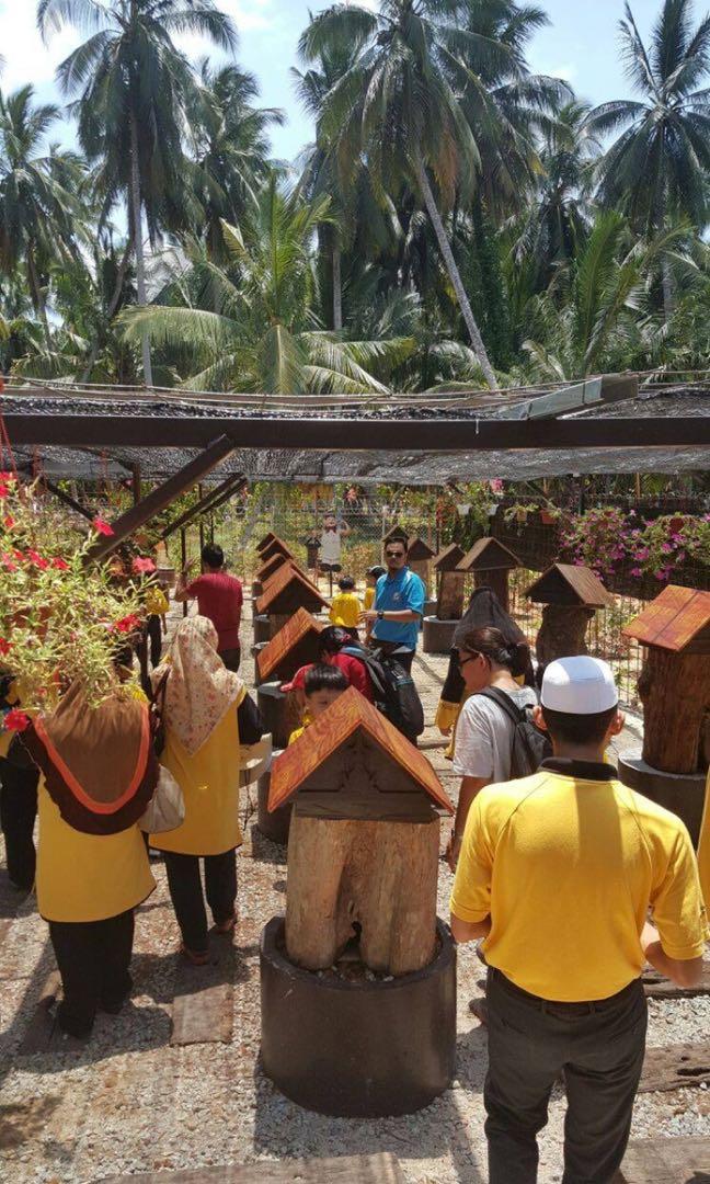 (Day trip) Family day!! Durian,mini zoo,horse riding,pedal boat ...