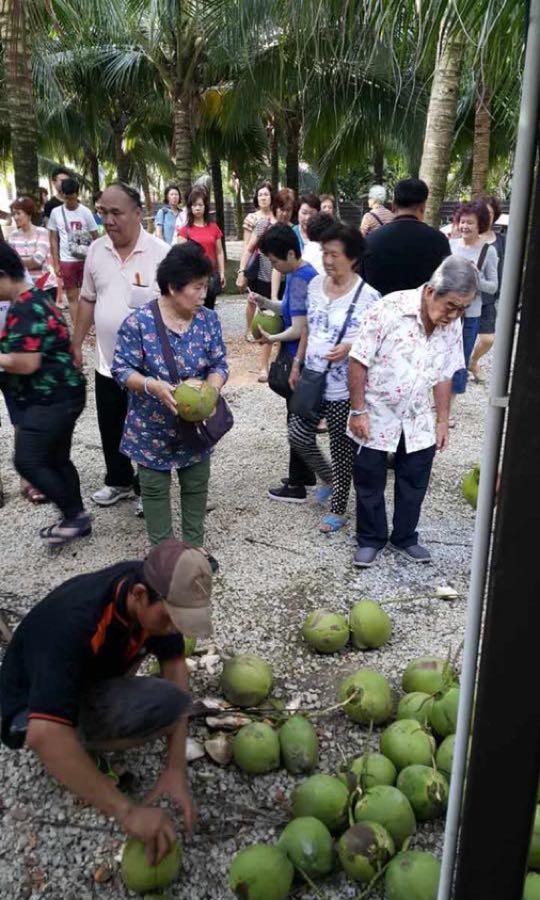 (Day trip) Family day!! Durian,mini zoo,horse riding,pedal boat ...