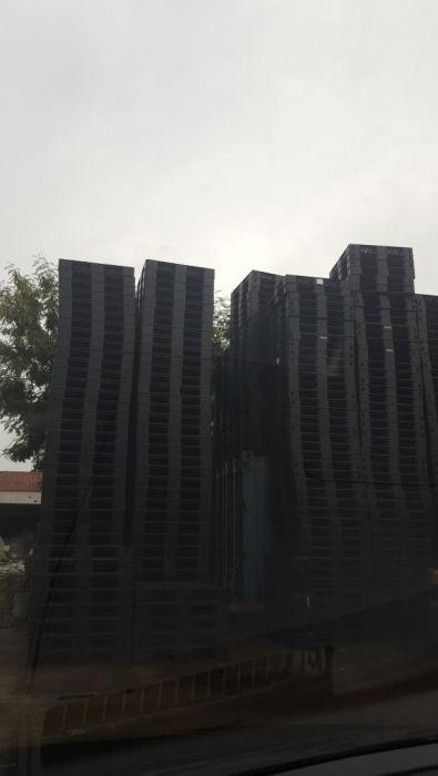 Tarima Plastic Pallets, Furniture & Home Living, Home Improvement ...