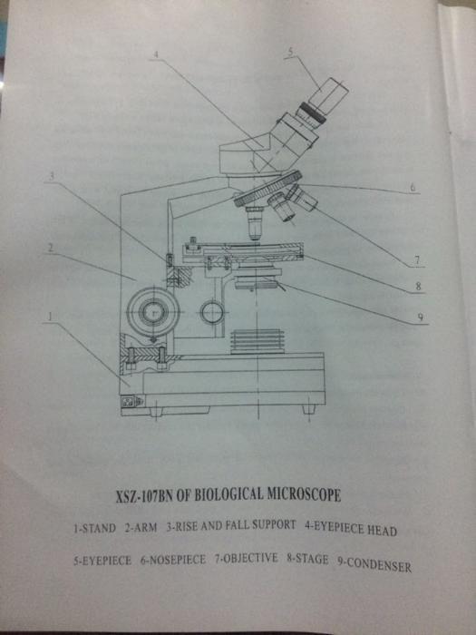 XSZ 107BN Biological Microscope, Computers & Tech, Office & Business ...