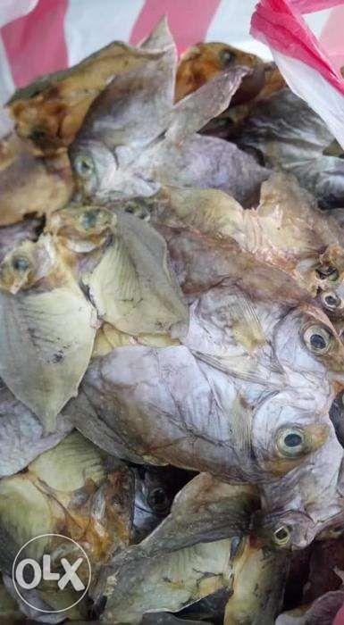 Boneless Danggit wholesale price, Food & Drinks, Packaged & Instant ...