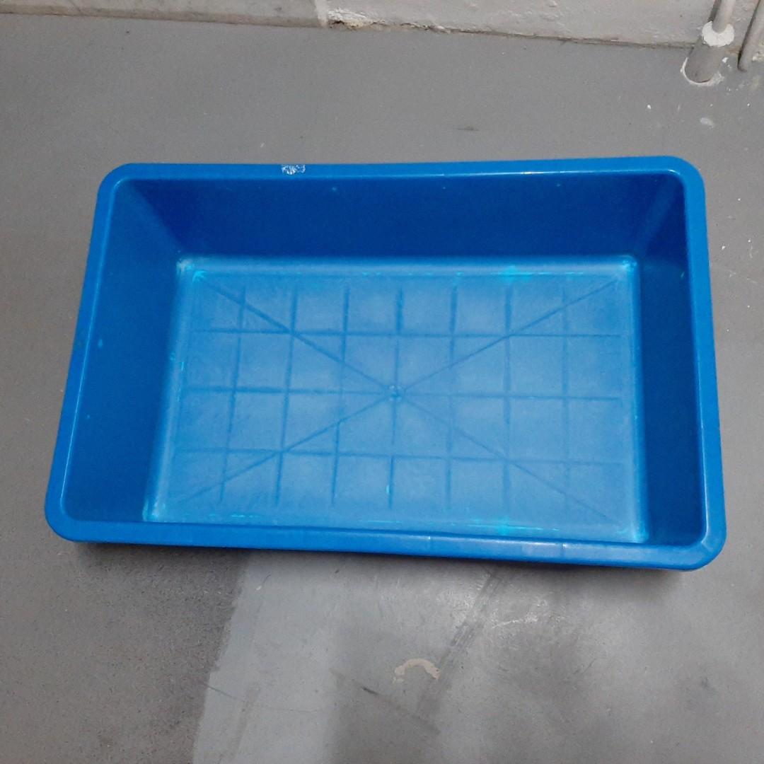 Blue Fish tub, Pet Supplies, Homes & Other Pet Accessories on Carousell