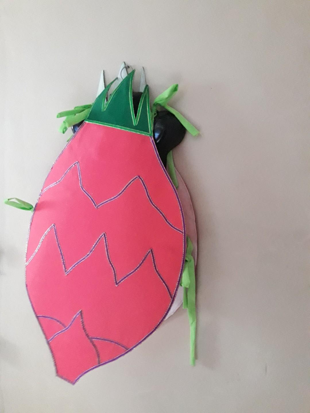 Nutrition Month Dragon Fruit Costume for Kids, Babies & Kids, Bathing ...