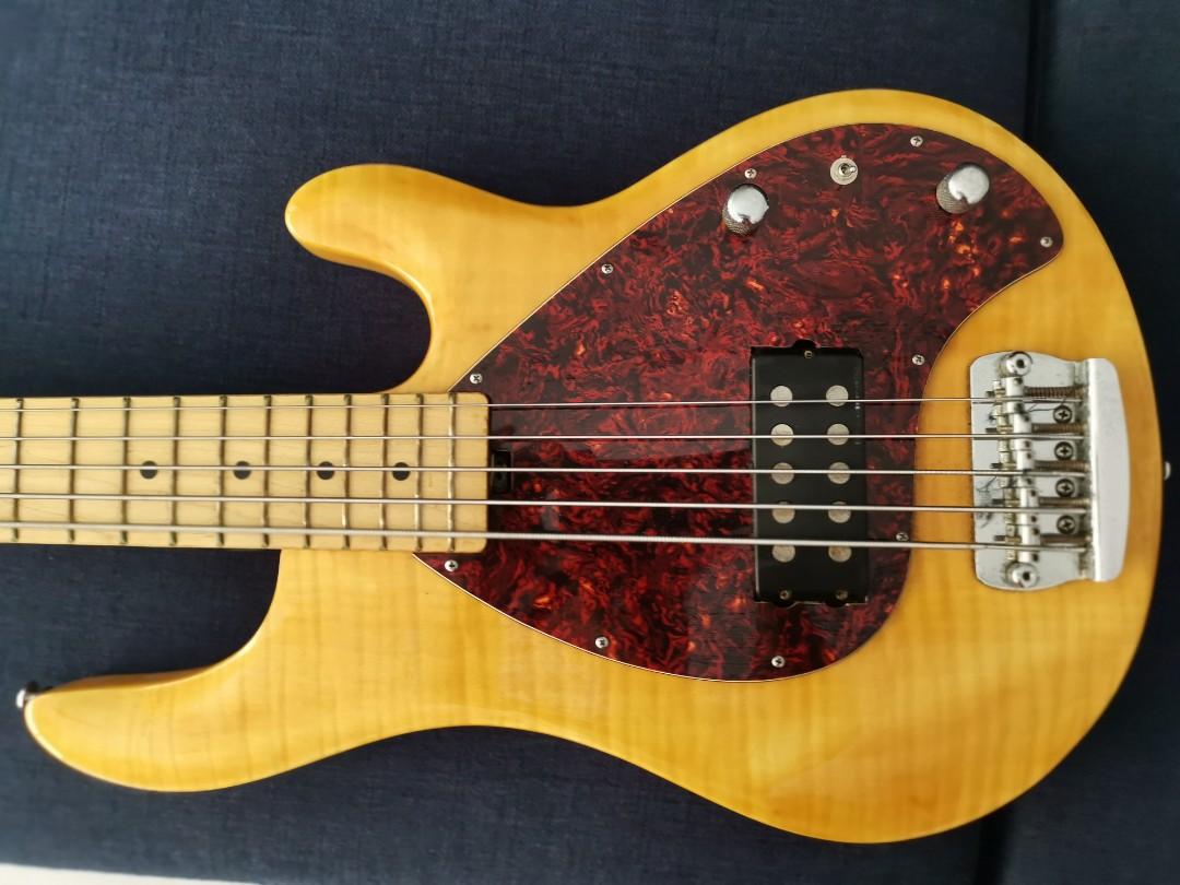 OLP Ernie Ball Music Man Stingray 5 string Bass, Hobbies & Toys, Music ...