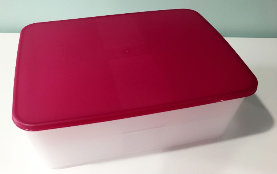 Tupperware Fish Keeper, Furniture & Home Living, Kitchenware ...