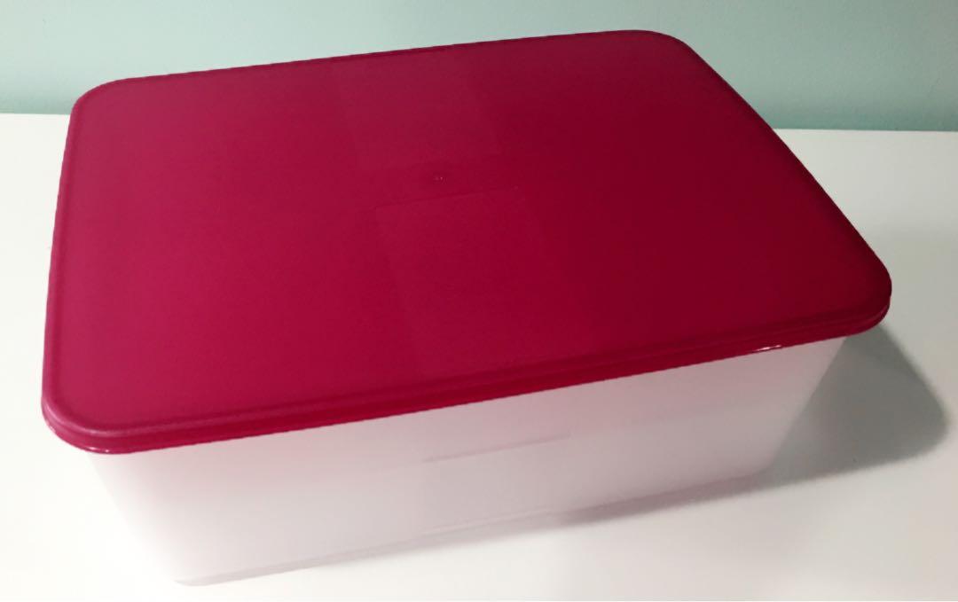 Tupperware Fish Keeper, Furniture & Home Living, Kitchenware ...