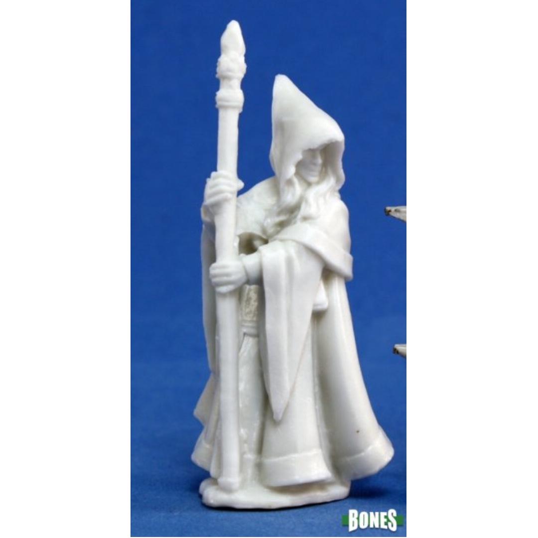 ANIRION, WOOD ELF WIZARD Mini - Reaper 77068, Hobbies & Toys, Toys ...